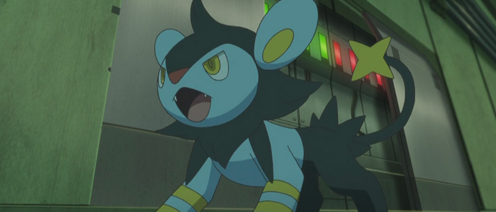 All Lion and Tiger Pokemon Ranked